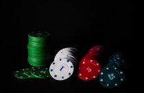 Finding a Landscaper to Transform Your Garden - Vera Delight Full ...